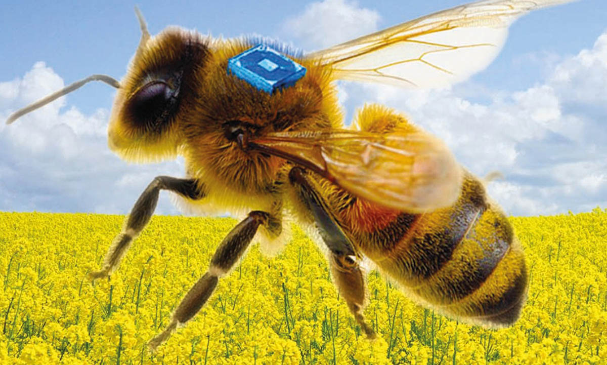 Smart Sensors: Smart Eyes for IoT | Avnet Silica